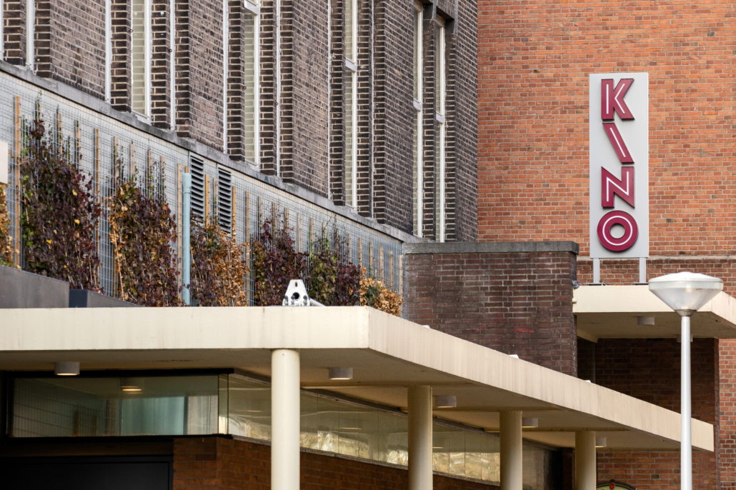 KINO Rotterdam: klimaatadaptieve tuin | Revolverend fonds Nationaal ...