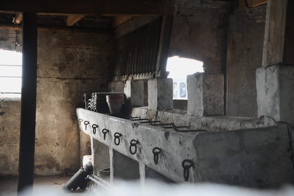 Akkerbouwer Maarten Leune schakelt familiebedrijf om met steun van IDL ...